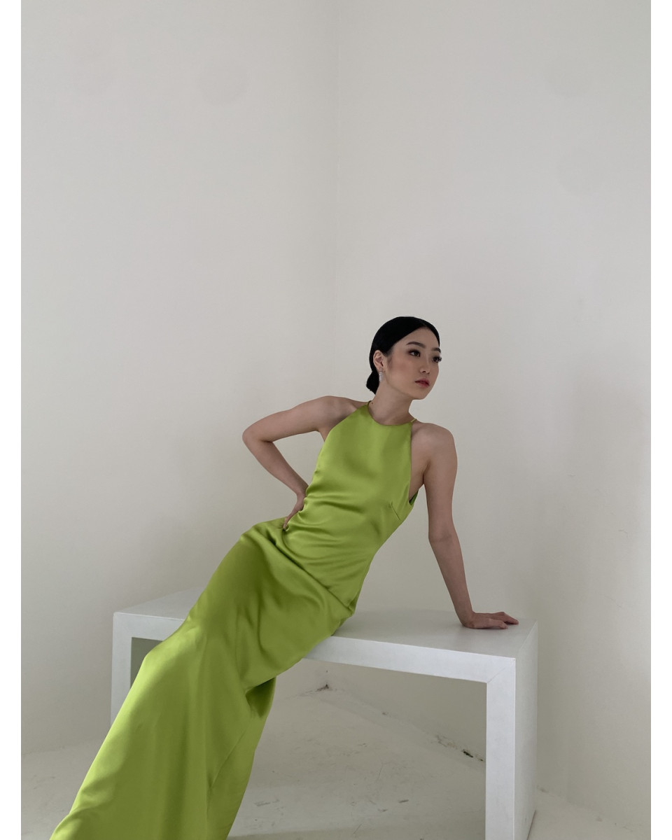steph dress
